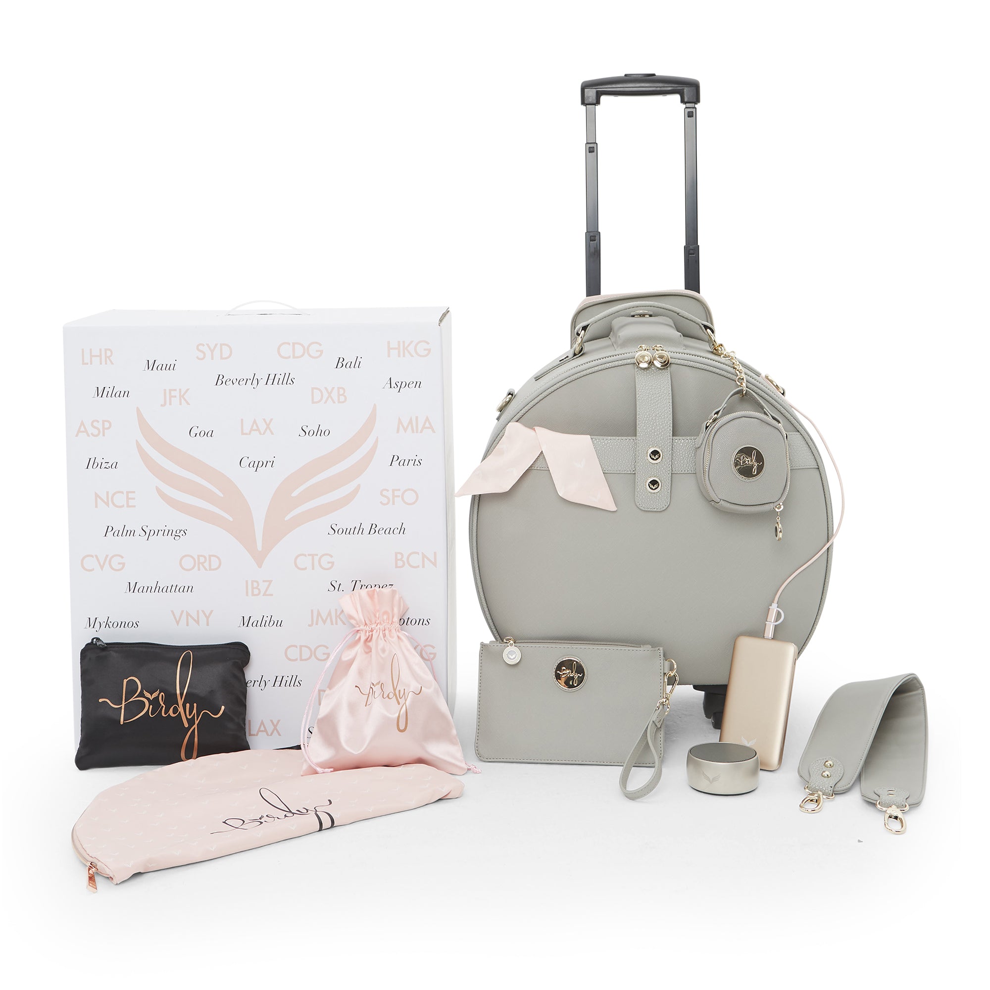 Deluxe Birdy Smart Carry-On Suitcase | SmartBirdy.com – Birdy Boutique